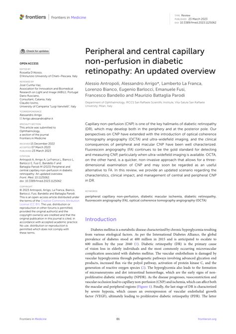 Pdf Peripheral And Central Capillary Non Perfusion In Diabetic Retinopathy An Updated Overview
