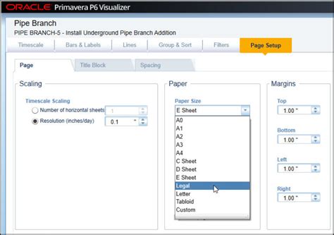 Timescaled Logic Diagrams In P6 Visualizer Ten Six Consulting