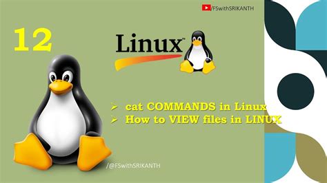 Cat Commands In Linux How To View Files In Linux Everything About
