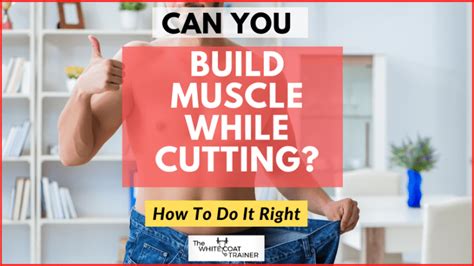 Can You Gain Muscle While Cutting Explained Simply By Doctor The