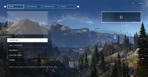 Store And Customisation Menus Not Loading Been Like This For 24 Hours Now Is This A Bug Rhalo