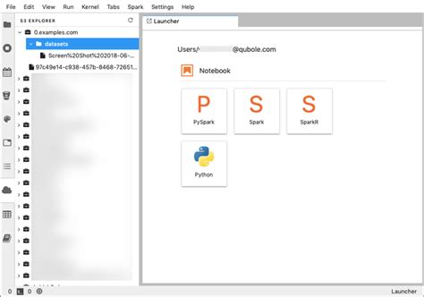 Exploring Data In Jupyter Notebooks — Qubole Data Service Documentation
