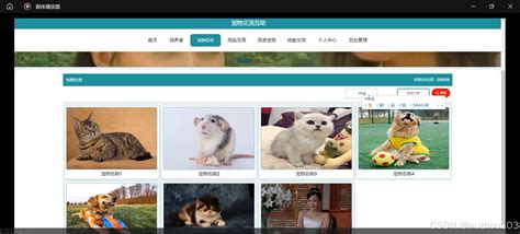 基于ssm vue宠物交流互助 开题报告 程序 论文 java csdn博客
