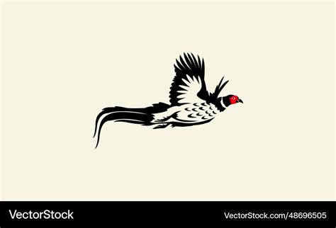 Line Art Pheasant Logo Template Royalty Free Vector Image