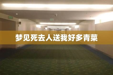 梦见死去人送我好多青菜 命理解梦