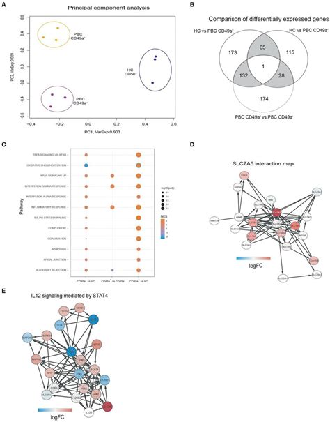 A Principal Component Analysis Of Gene Expression Profiles