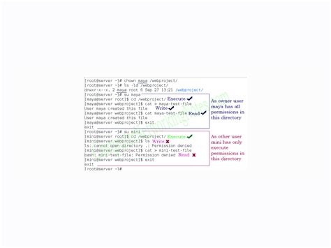 Linux File Permission Explained