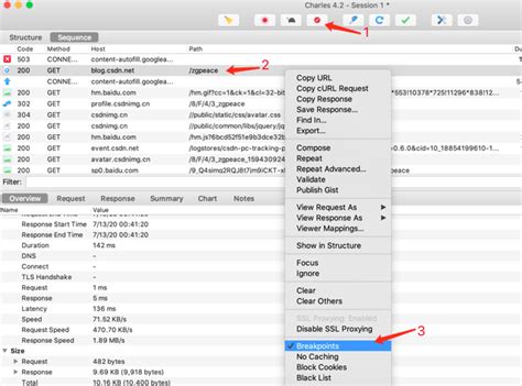 How To Change Response Body With Charles Stack Overflow