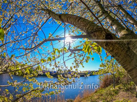 How To Nulls And Exceptions In Kotlin Lothar Schulz