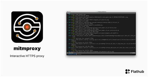Install Mitmproxy On Linux Flathub