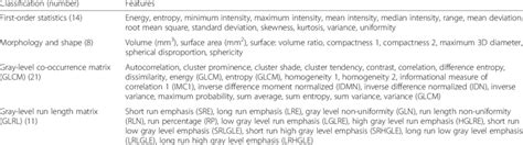 Classification Of Texture Features Download Scientific Diagram