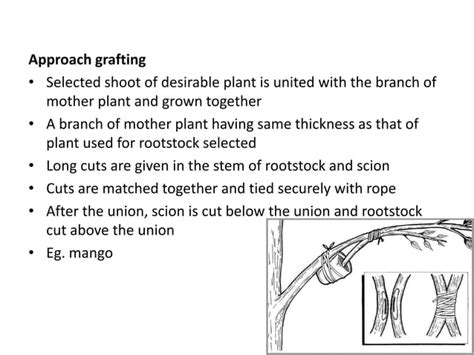 Propagationmethodspptx Infertility Reproductive Health Propagationmethodspptx Infertility Reproductive Health