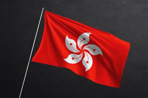 3d 흔들리는 깃발 디자인 검은 배경에 홍콩 국기입니다 3차원 형태에 대한 스톡 사진 및 기타 이미지 3차원 형태 개념 개념과 주제 Istock