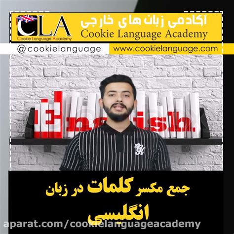 کلمات با جمع مکسر در زبان انگلیسی