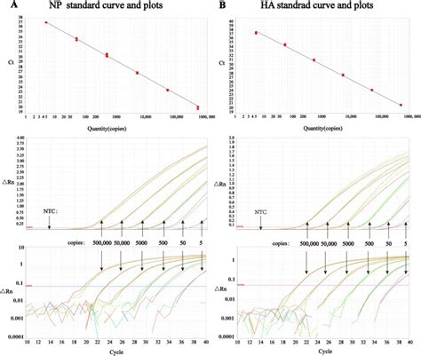Multiplex One Step Real Time Pcr By Taqman Mgb Method For Rapid Detection Of Pan And H5 Subtype
