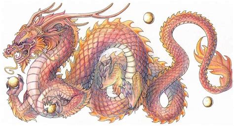 플래시24 커뮤니티 동양용 Vs 서양용 Dragon Chinese Dragon Drawing Chinese Dragon Tattoos Dragon