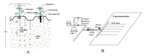 Schematic Of The Experimental Design A Fertigation System In The Download Scientific Diagram