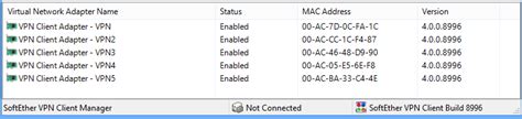 4 3 Virtual Network Adapter SoftEther VPN Project