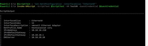 Powercli Invoke Vmscript Установка Ip адреса гостя Static Dhcp