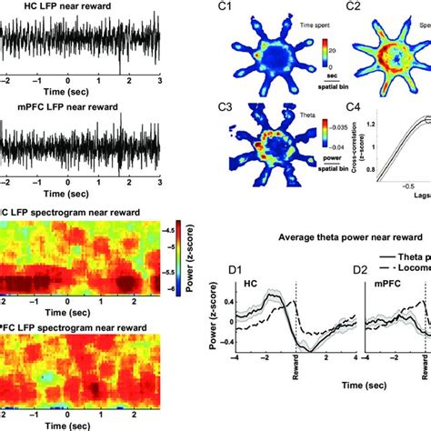 Task Description And Examples Of Theta Band Activity A In The Dsws