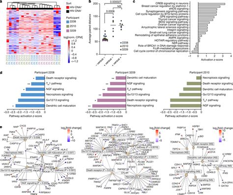 Host Transcriptomic Pathways In Hiv Dna⁺ Memory Cd4 T Cells Under Download Scientific Diagram