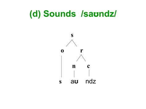 Syllable Structure Power Point Presentation Ppt
