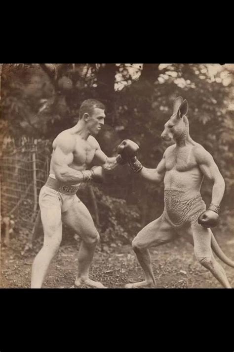 ეს მე მომკლავს — ამ სიტყვებით კრივის მსოფლიო ჩემპიონმა სტენლი კეტჩელმა Youtube