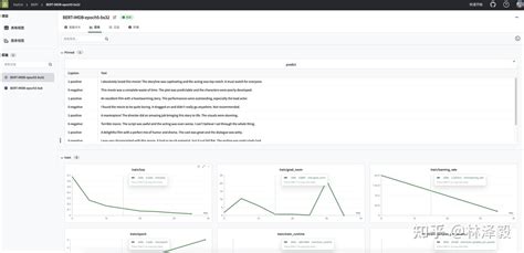 Bert文本情感分类完整代码数据集实验过程 知乎