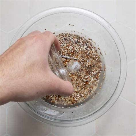 How To Cook Quinoa In The Microwave Food Faith Fitness