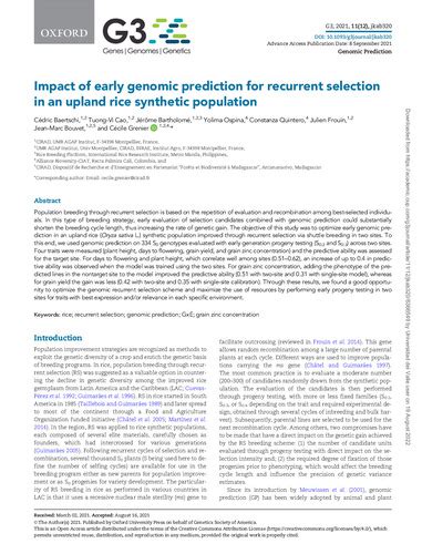 Impact Of Early Genomic Prediction For Recurrent Selection In An Upland Rice Synthetic