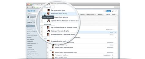 Asana Project Management Tool