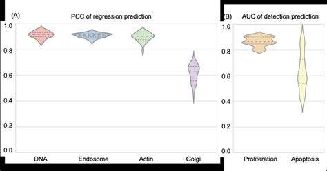 Quantitative Evaluation Of The Dl Prediction The Above Violin Plots