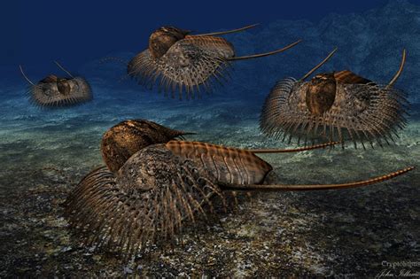 Life Before The Dinosaurs Cryptolithus