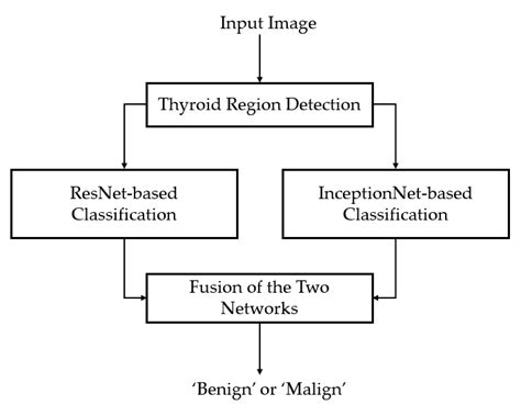 Flow Chart Of The Deep Learning Based System Constructed By Combining