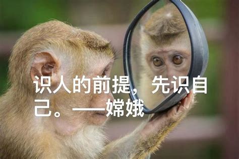 如何提升自己识人的能力？ 知乎