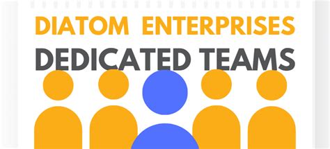 Dedicated Development Teams At Diatom Enterprises