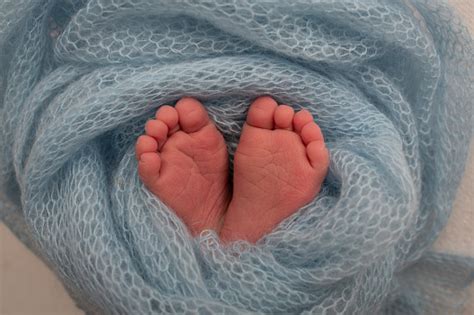 신생아의 작은 발 파란색 모직 담요에 신생아의 부드러운 발 신생아의 발가락 발 뒤꿈치 및 발을 닫습니다 스튜디오 매크로 사진 여성의 행복 사진 개념 가족에 대한 스톡 사진