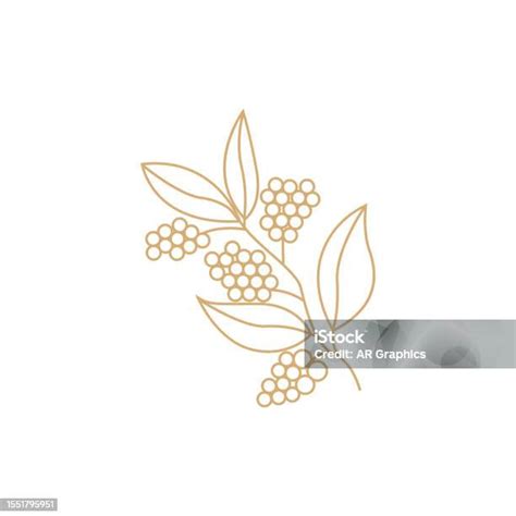 커피 로고 커피 트리 디자인 카페 음료 벡터 아이콘 브랜드 일러스트 레이 션 기호 0명에 대한 스톡 벡터 아트 및 기타 이미지 0명 갈색 광고 Istock