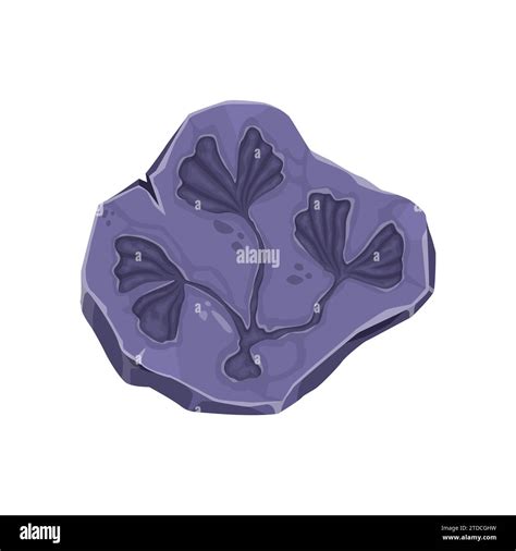 Ancient Fossil Plant Imprint In Stone Extinct Prehistoric Aquatic Plant Piece Archaeological