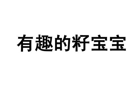 幼儿园中班科学有趣的籽宝宝 word文档在线阅读与下载 无忧文档
