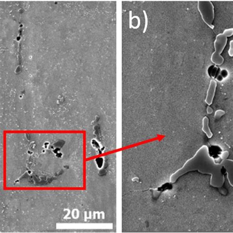 Microstructure Details Of The Ni80 20 Of The Ht Sample Sem Images Download Scientific Diagram
