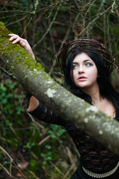 1 862 Wood Nymph Forest Stock Photos Free Royalty Free Stock Photos