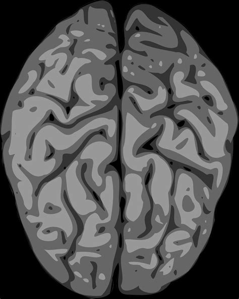Download Abstract Brain Illustration