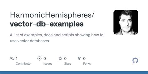 GitHub HarmonicHemispheres Vector Db Examples A List Of Examples Docs And Scripts Showing