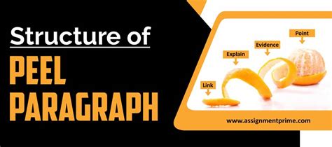 How To Use Peel Paragraph Structure Importance Examples