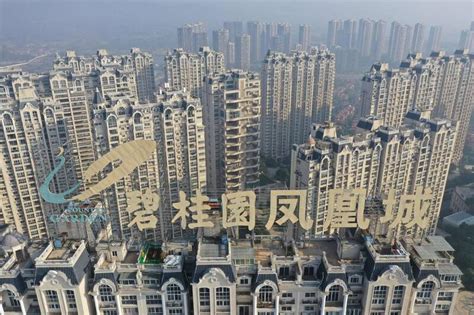 危機入市？傳小摩大買碧桂園持股586億元 自由財經
