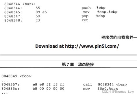 程序员的自我修养第七章——动态链接 下 程序员的自我修养里 动态链接一段 模块内部的数据 csdn博客
