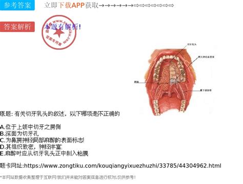 鼻腭图片 腭骨的位置图片 美食图片 大山谷图库