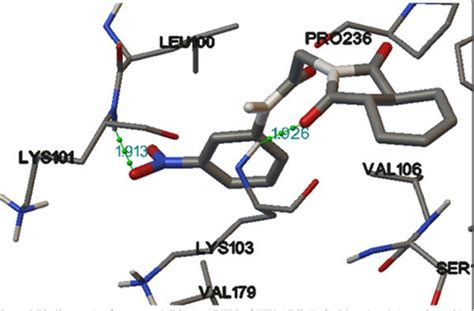 Binding Mode Of Compound 4l In The Nnibp Of Hiv 1 Rt 1rt2 Ligand And Download Scientific
