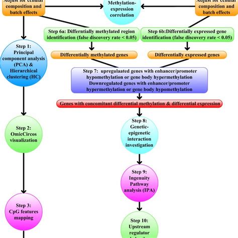 Schematic Representation Of The Next Generation Sequencing Data Download Scientific Diagram